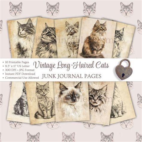 Printable Vintage Long Haired Cats Junk Journal Pages
