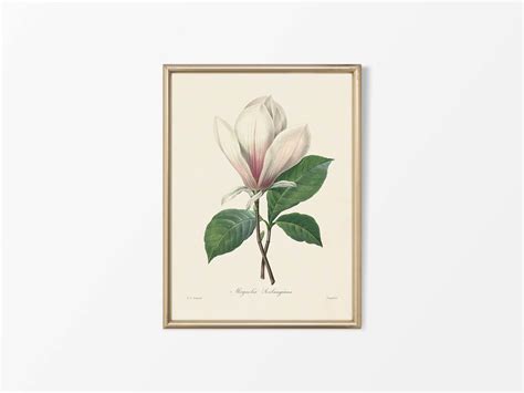 Magnolia Trove Prints
