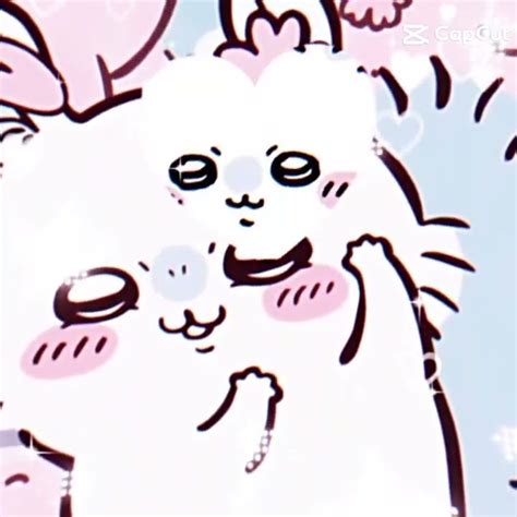 모몽가🍀💕 Youtube