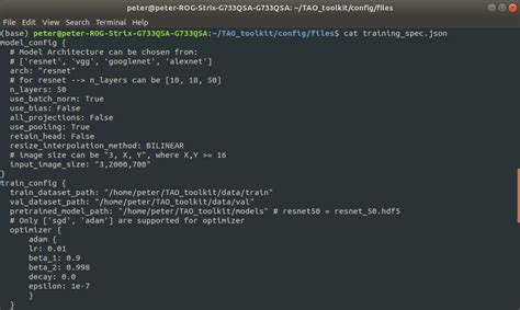 Google Protobuf Text Format ParseError Couldn T Parse Float TAO Toolkit NVIDIA