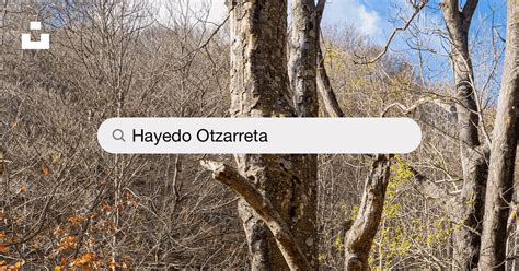 Hayedo Otzarreta Photos Télécharger Des Images Gratuites Sur Unsplash
