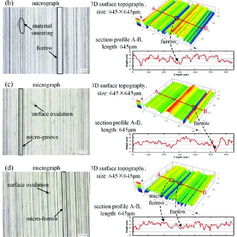 Micrographs 3d Topographies And Cross Section Profiles Against The
