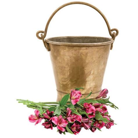 Person Action Object Detection Dataset And Pre Trained Model By Pjojdt