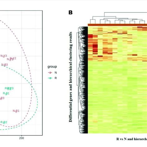 A Gene Principal Component Analysis Pca Map B Differential Gene