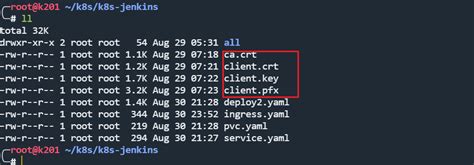 K8s 部署jenkins 阿里云开发者社区