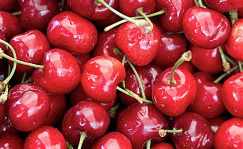樱桃好吃营养价值高，但挑对才行！挑樱桃的4个小窍门，抓紧来学 财经头条