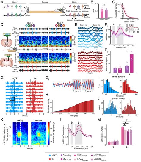 prefrontal hippocampal system shows transient beta coherence in