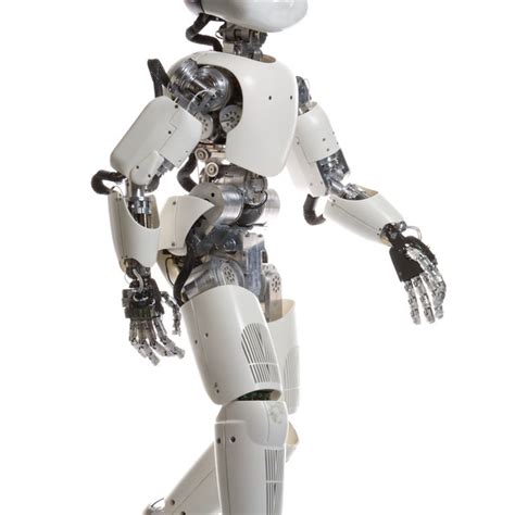 A Picture Of The Icub Download Scientific Diagram