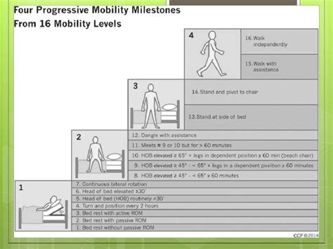 early mobility in icu