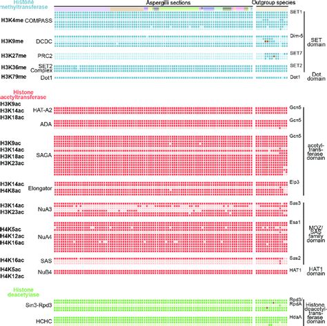 Presence Absence Patterns Of Subunits That Constitute Characterized