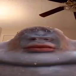 Nerds And Virgins Minecraft Modpacks CurseForge