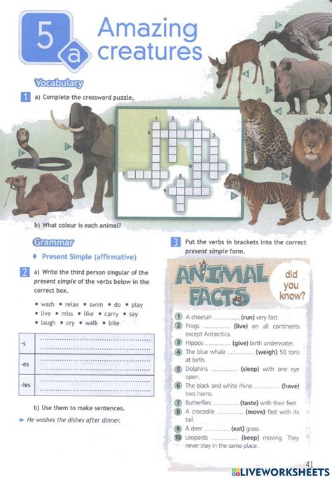Spotlight 5. Workbook Module 5a worksheet | Live Worksheets