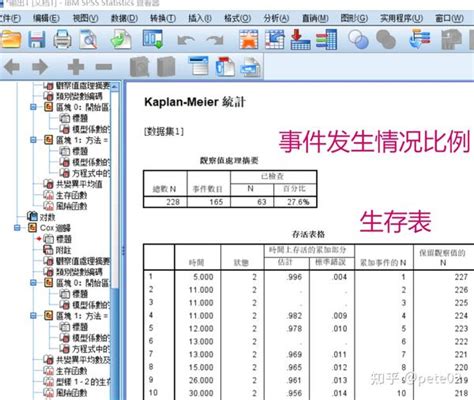 Spss软件进行生存分析 知乎