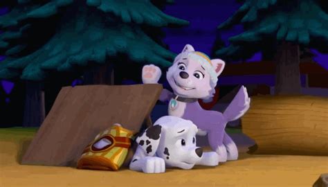 Marshall And Everest Gallery Paw Patrol Relation Ship Wiki Fandom