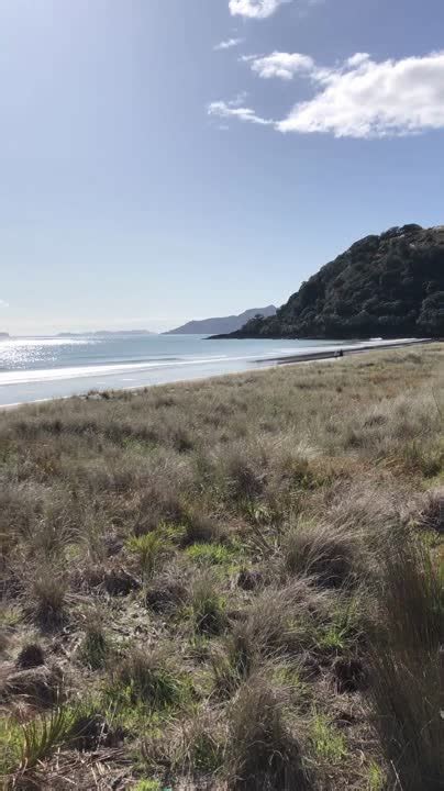 [video] Daniel Klinkenberg On Linkedin If Youre Spending Time In The Coromandel These School