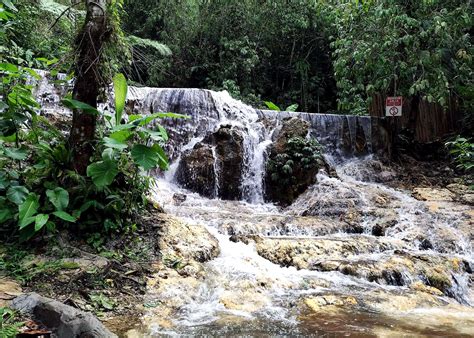 Claud Maru Your Connection To Nature Edge Davao