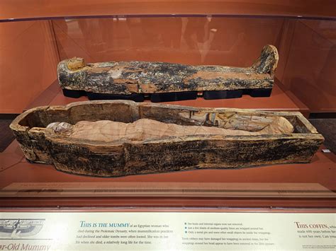 A Brief History Of Coffins To Caskets A History Of Death