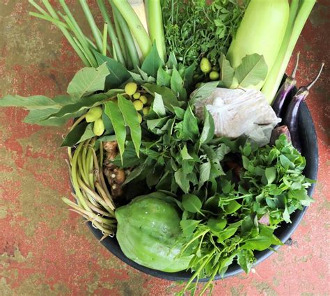 Vegetables Grown In The Philippines At Jennie Wilson Blog