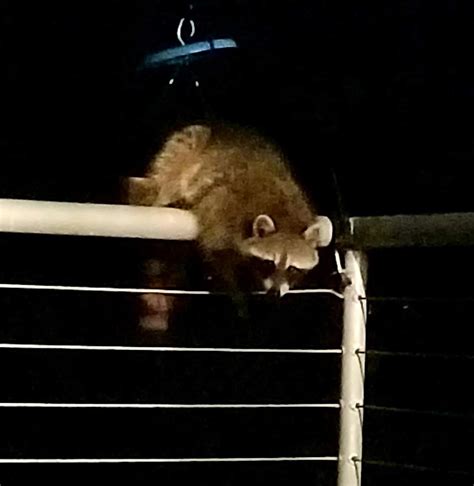 791 Best Stepmom Images On Pholder Otome Isekai Freckled Girls And