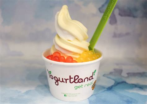 Yogurtland Over 200 Customisable Pure Frozen Yogurt Flavours Made From