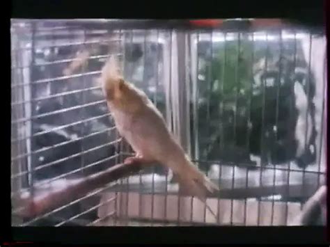 特殊插入 xHamster