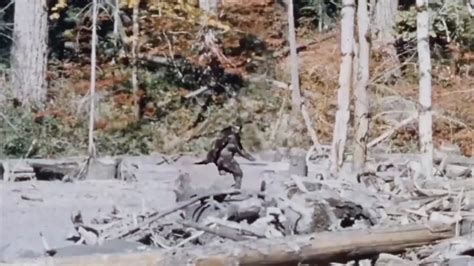 The 10 Creepiest Cryptids Of All Time