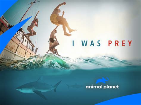 Prime Video I Was Prey Season 3