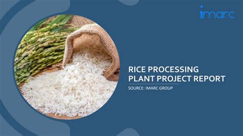 Rice Processing Plant Project Reportpdf
