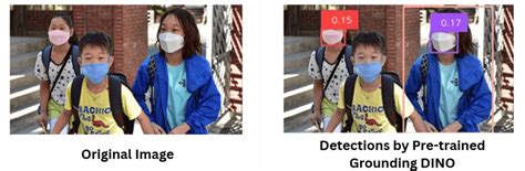 Fine-Tuning Grounding DINO: Open-Vocabulary Object Detection