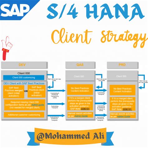 Alternative Sap Alternative Client Warning S4hana Risewithsap Sapactivate Sapbasis
