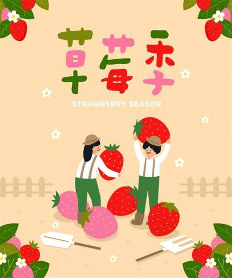 700 Campo De Fresas Ilustraciones De Stock Gráficos Vectoriales