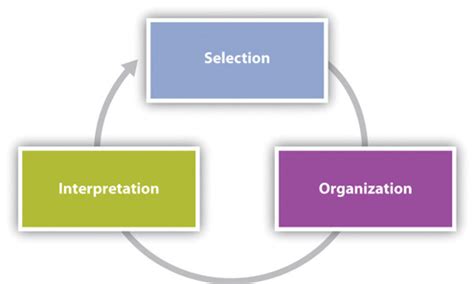 21 Perception Process Communication In The Real World An
