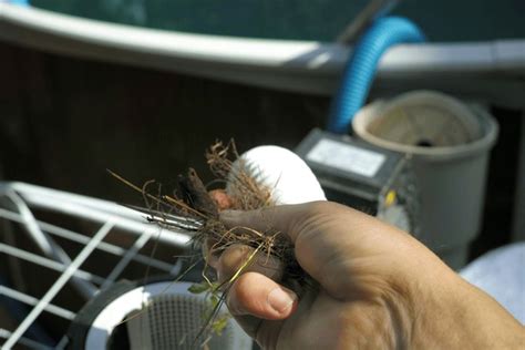 Clogged Pool Filter Images Stock Photos D Objects Vectors Shutterstock