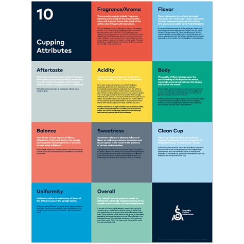 Cupping Attributes Poster Sca