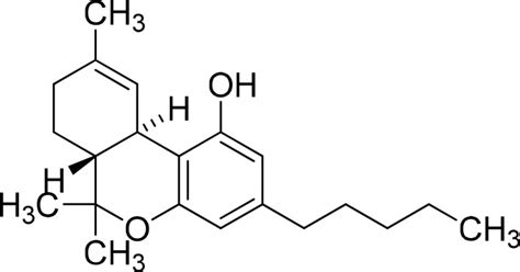 Structureactivity Relationship And Functional Evaluation Of