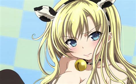 Sena Kashiwazaki Wallpaper Doll