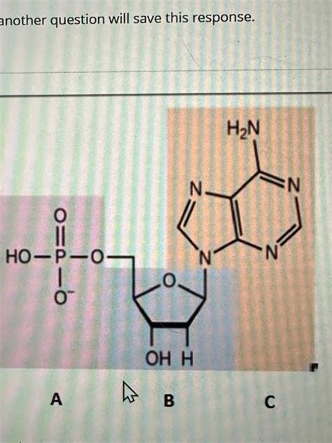 Solved Identify The Correct Name Of The Nucleotide Structure Chegg Com