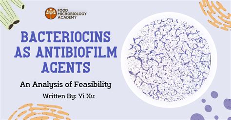 Bacteriocins As Antibiofilm Agents An Analysis Of Feasibility Food