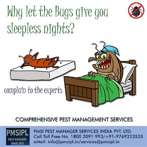 Bed Bugs Pest Control Services At ₹ 12square Meter In Mumbai Id