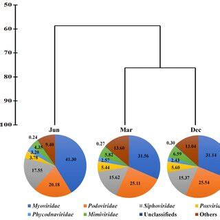 Hierarchical Agglomerative Clustering Performed Using The Group Average