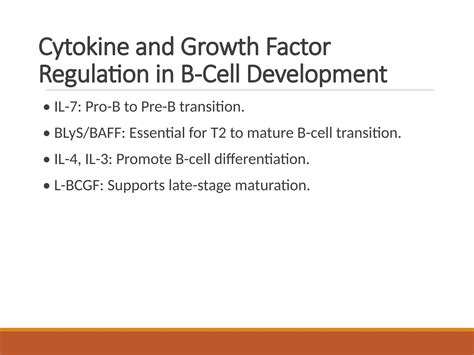 B Cell Maturation And Developments Regulation Immunology Ppt