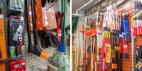 Spring Pruning Basics For Ornamental Trees And Shrubs