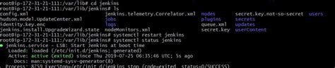 jenkins server backup using command line
