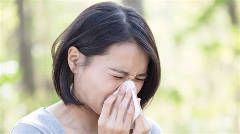 Xyzal Vs Zyrtec Which Allergy Medication Is Better