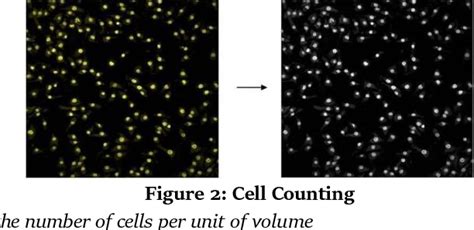 Figure 2 From Knn Model For Cancer Prediction Using Stem Cells Semantic Scholar