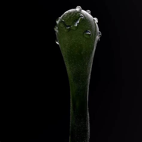 getting this weird artefacts using particle fluid surface sop in
