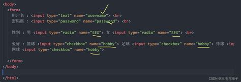 前端 基础 表单标签 表单元素 input name value checked maxlength ）属性详解 input