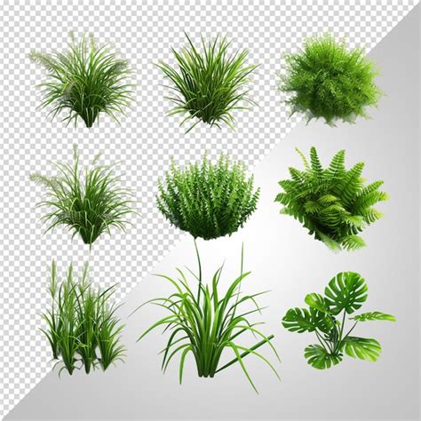 Page 6 Assorted Grass Plants Psd 21000 High Quality Free Psd Templates For Download