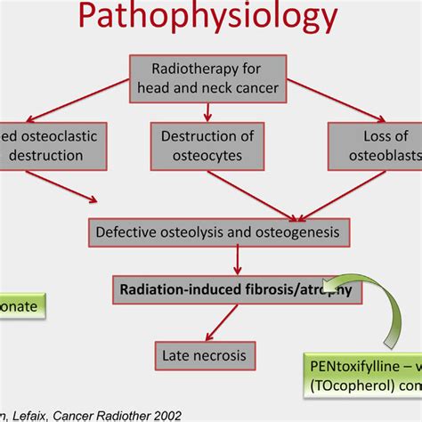 Pdf Medical Treatment Of Osteoradionecrosis Of The Mandible By