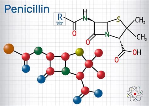 Premium Vector General Formula Of Penicillin Pcn Molecule Structural